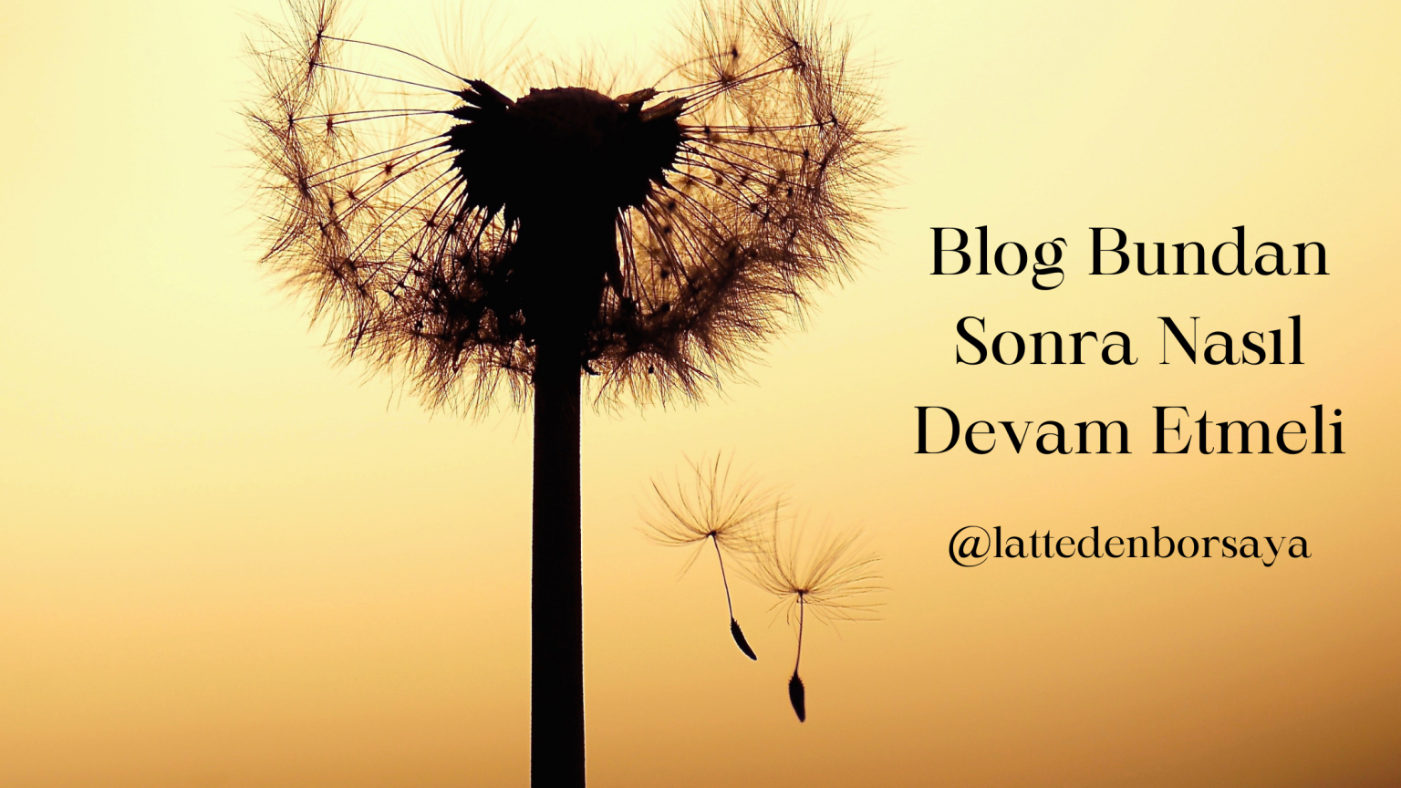 Latteden Borsaya Blog Bundan Sonra Nasıl Devam Etmeli